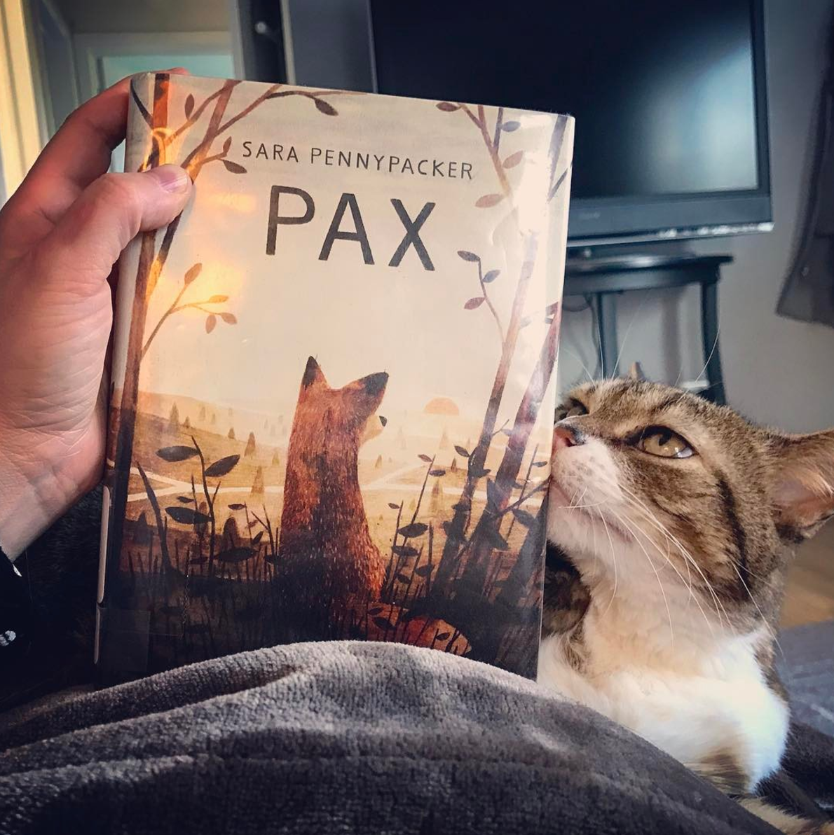 Insta Review: Pax, by Sara Pennypacker