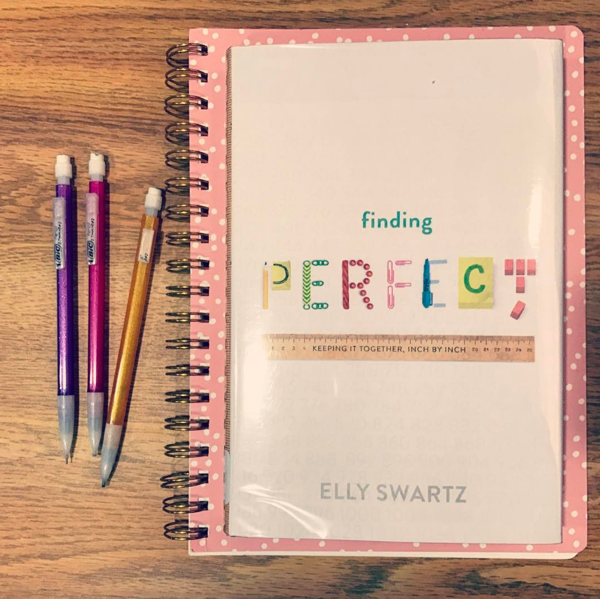 Insta Review: Finding Perfect, by Elly Swartz