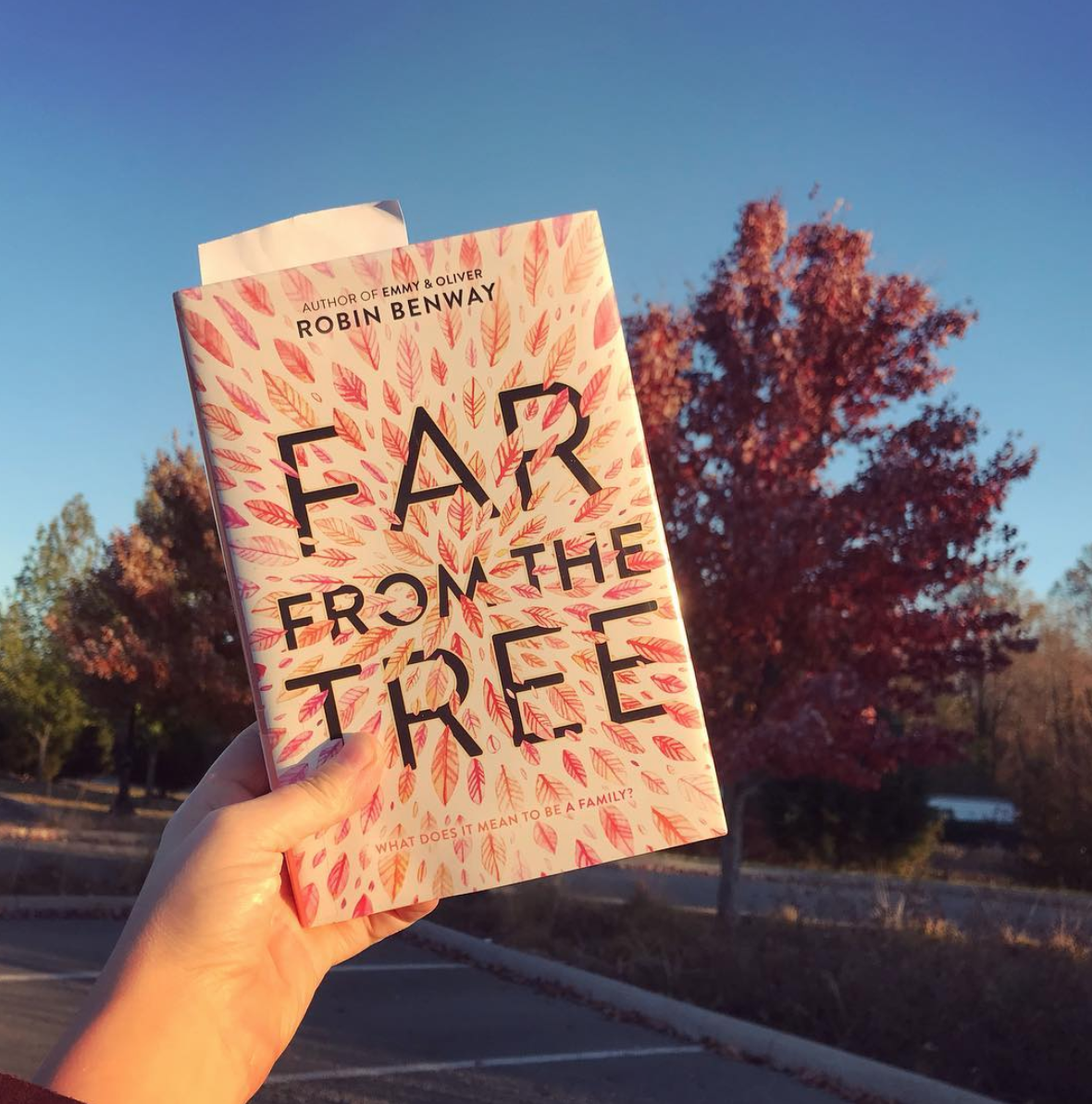 Insta Review: Far from the Tree, by Robin Benway