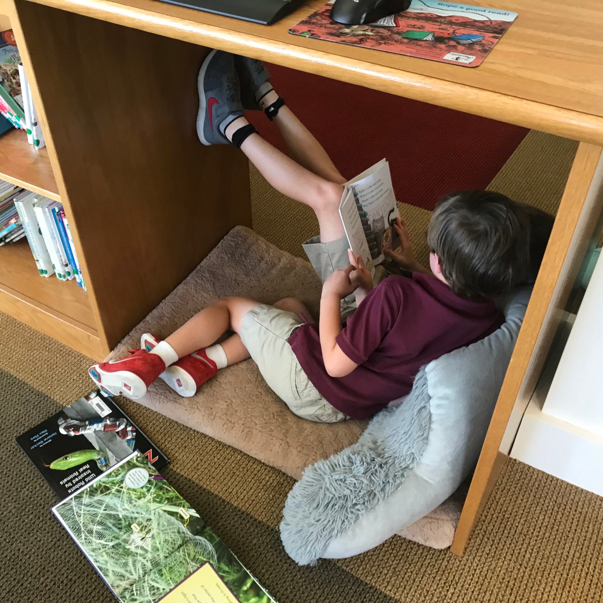 Exploring Cozy Reading Spots